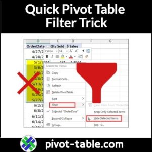 Quick Pivot Table Filter Trick: Hide or Show Items – Excel Pivot Tables